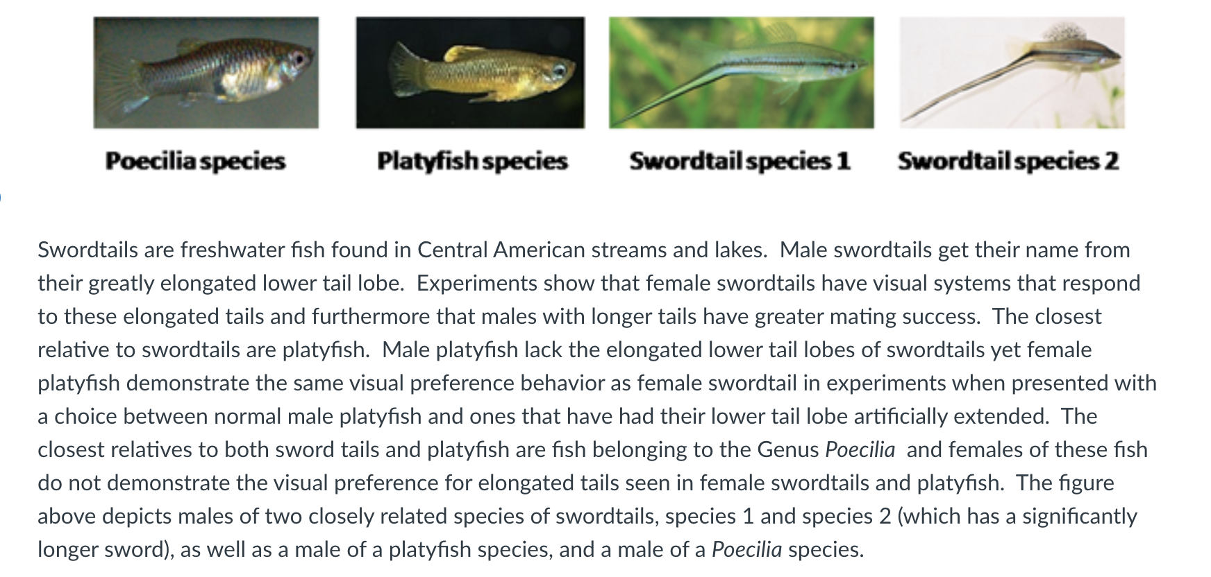 Solved question 1: The common ancestor of swordtail species | Chegg.com