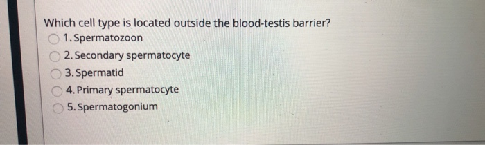 Solved The maternal lacunar network is essentially the | Chegg.com