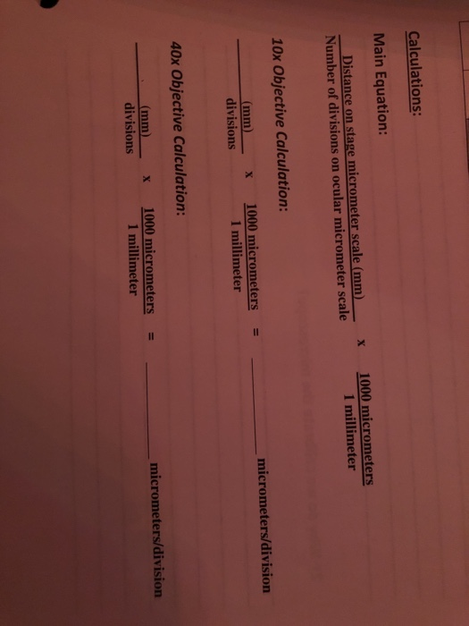 Solved Calculations: Main Equation: x 1000 micrometers | Chegg.com