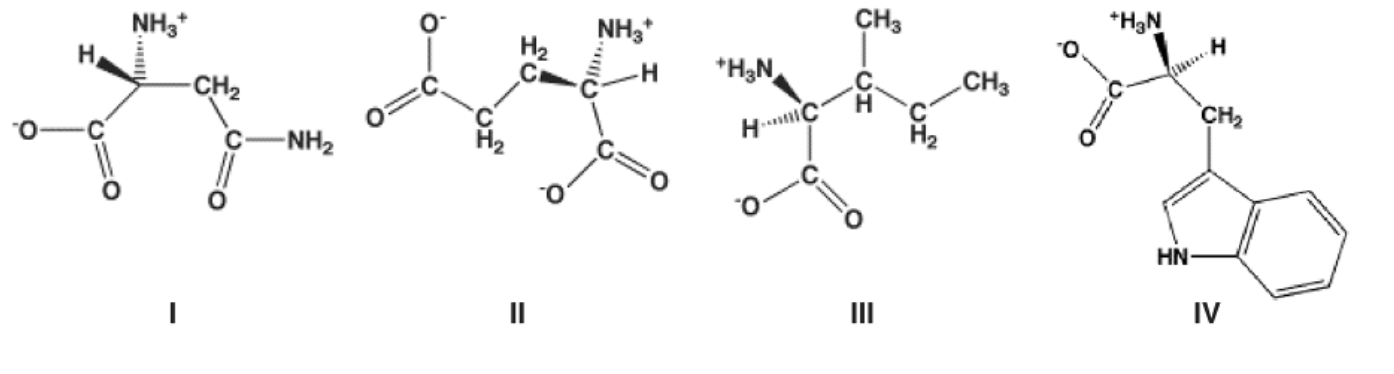 Solved NH3 NH3 CH3 *HEN н, H H *H3N -CH2 CH3 UI -NH2 Ниніс | Chegg.com