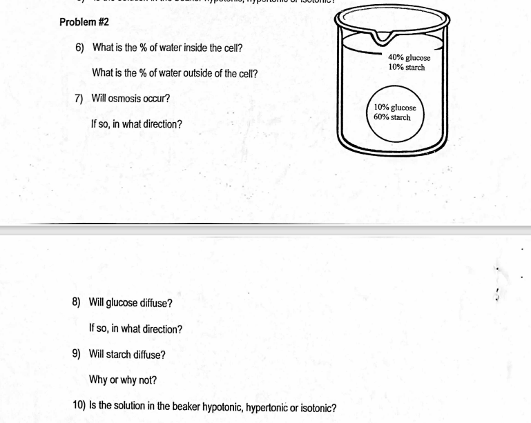 Solved Diffusion and Osmosis DIRECTIONS: Answer each | Chegg.com