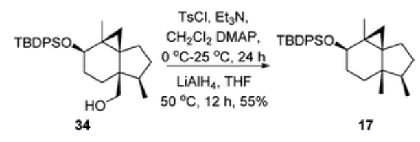 Solved Provide the mechanism for the conversion of 34 to 17. | Chegg.com