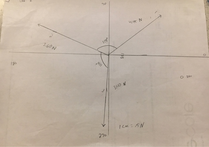 Solved Data Analysis GRAPHICAL ADDITION Re-create the raw | Chegg.com