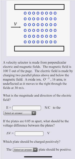 Solved 0 A calcium ion, Ca+2 , 40 amu, moves at 1700 m/s | Chegg.com