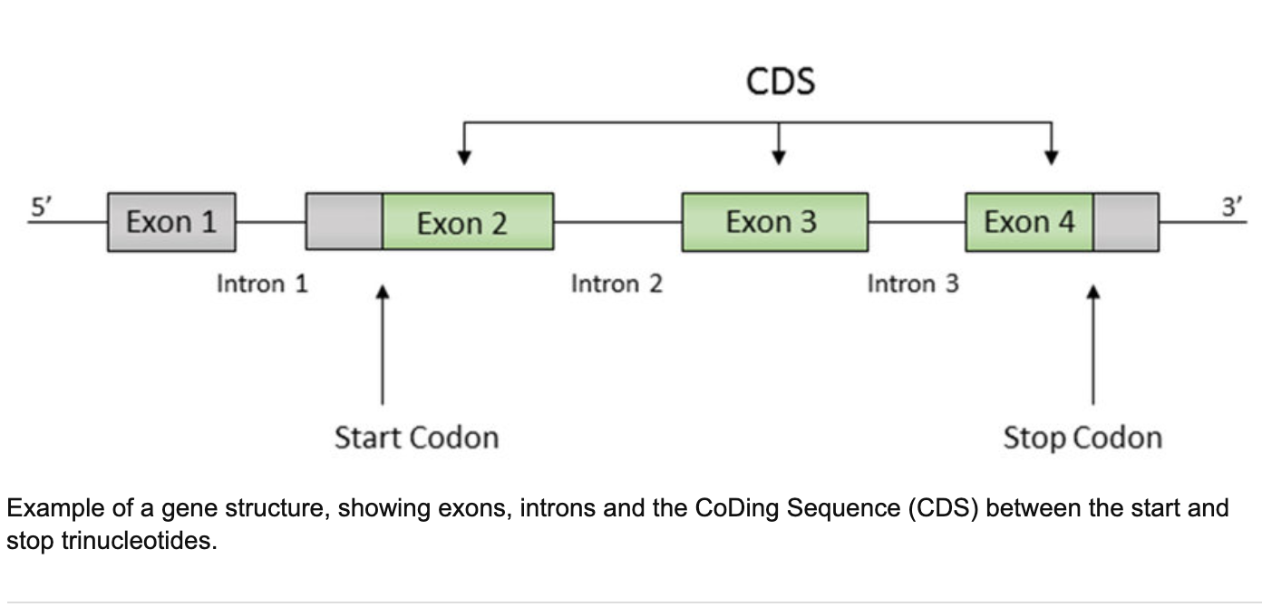 Part 1: First, practice drawing a gene map using | Chegg.com