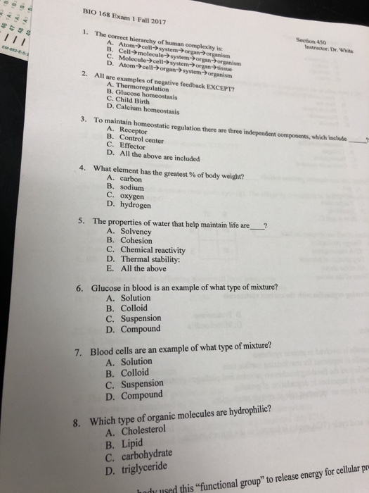 Solved: BIO 168 Exam 1 Fall 2017 1. T He Correet Hierarchy... | Chegg.com