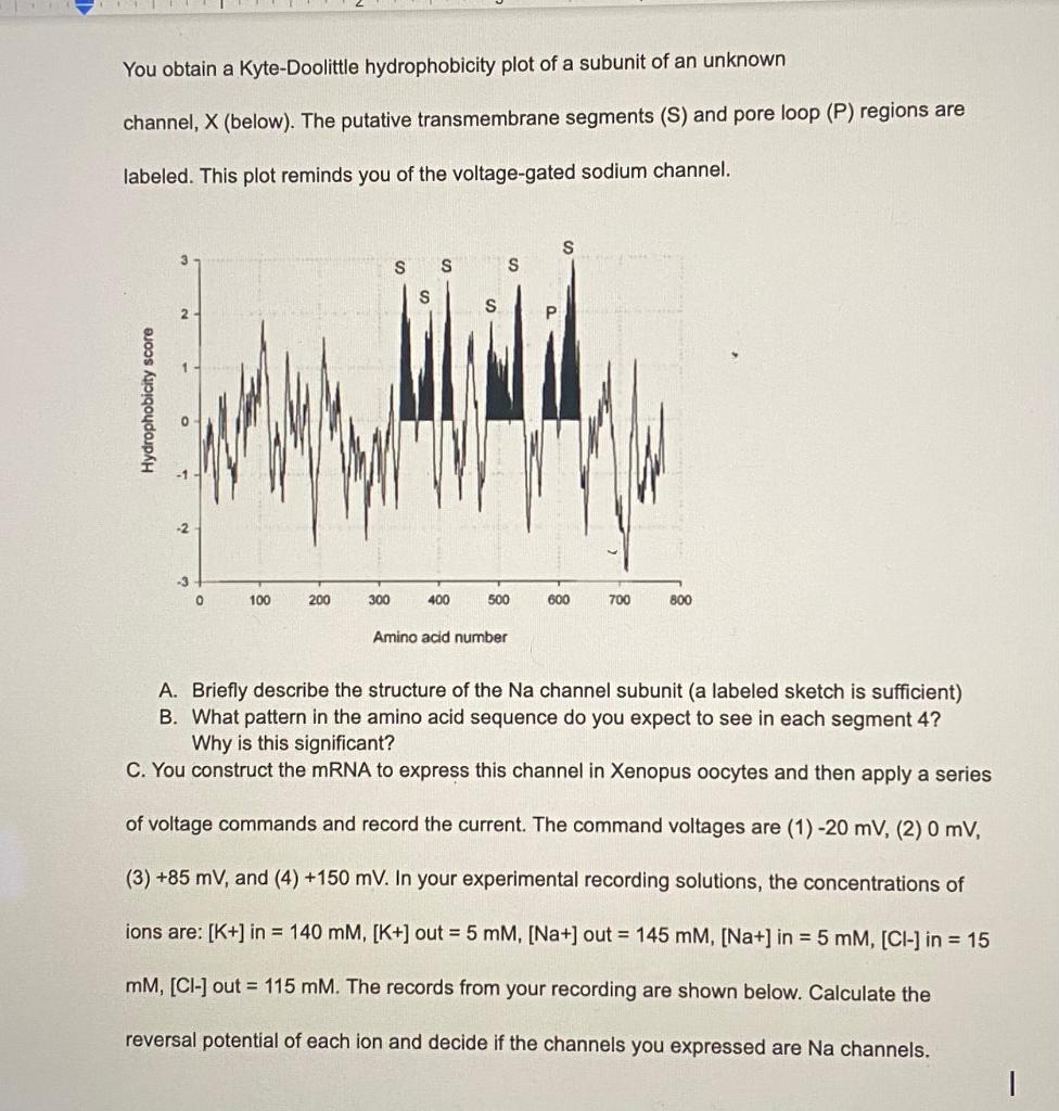 You obtain a Kyte-Doolittle hydrophobicity plot of a | Chegg.com