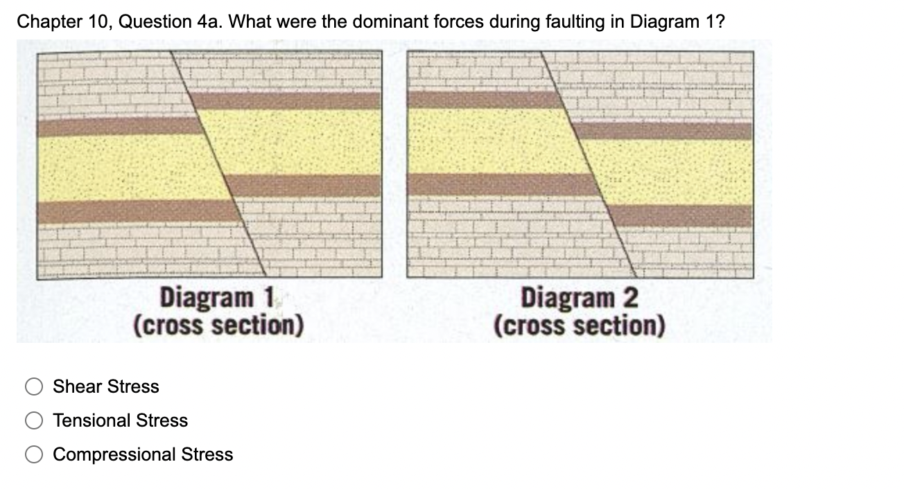 Solved Chapter 10, Question 4a. What were the dominant | Chegg.com