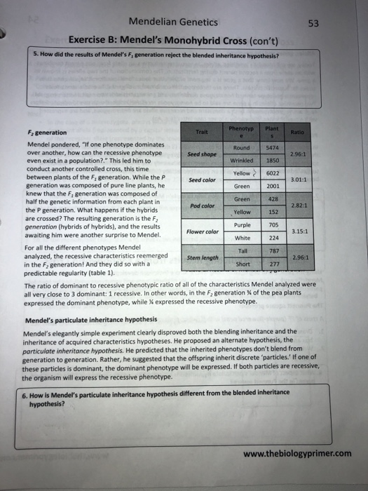 Solved Mendelian Genetics 53 Exercise B: Mendel's Monohybrid | Chegg.com