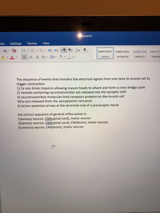 Solved T1 Ces Mailings Review View Aaßbccddee Aabbccddee
