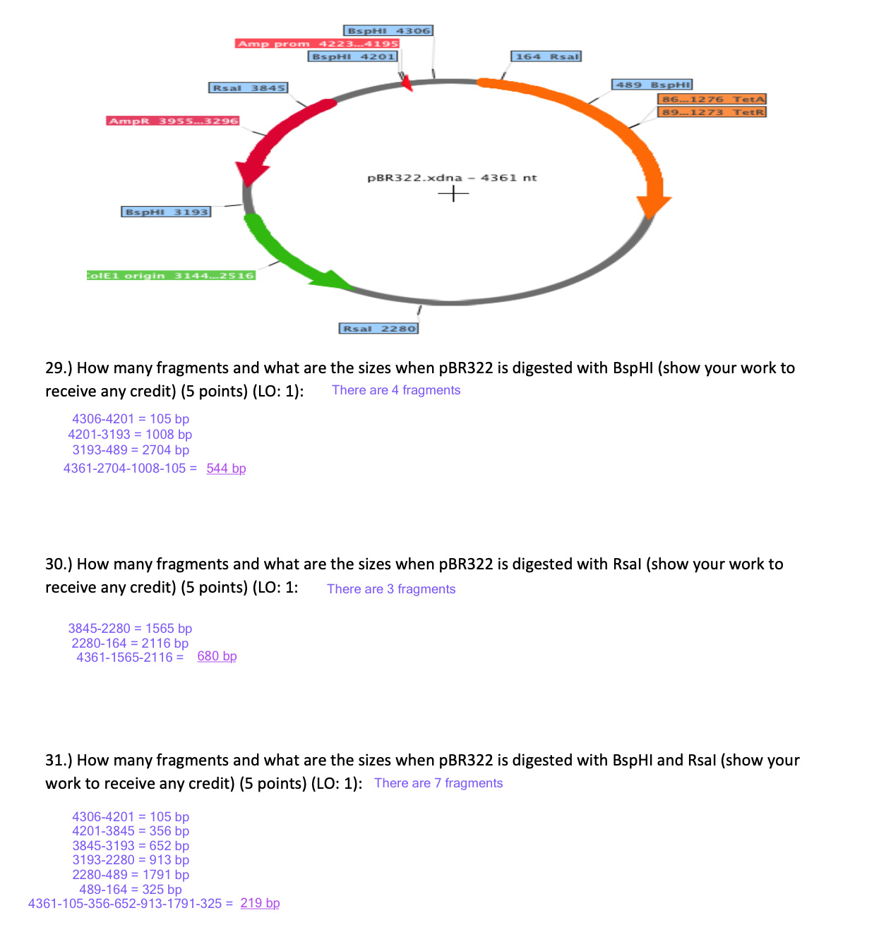 Solved Please Help!! I think my math is wrong | Chegg.com