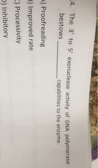 Solved The 3' to 5' exonuclease activity of DNA polymerase | Chegg.com