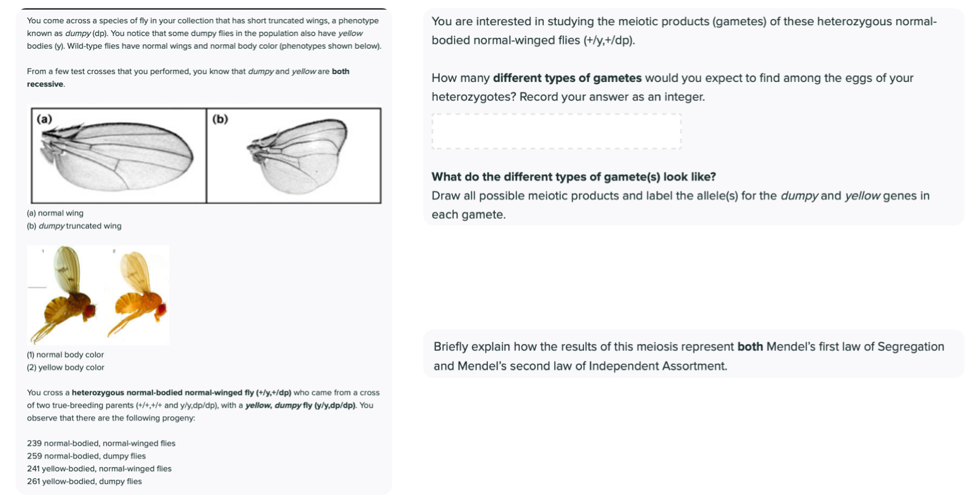 Solved You come across a species of fly in your collection | Chegg.com