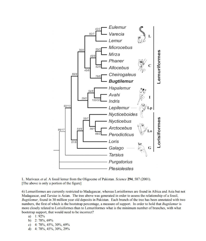 422 927 - 30/2 55/3 49/9 Lemuriformes 45/8) 69/9 29/2 | Chegg.com