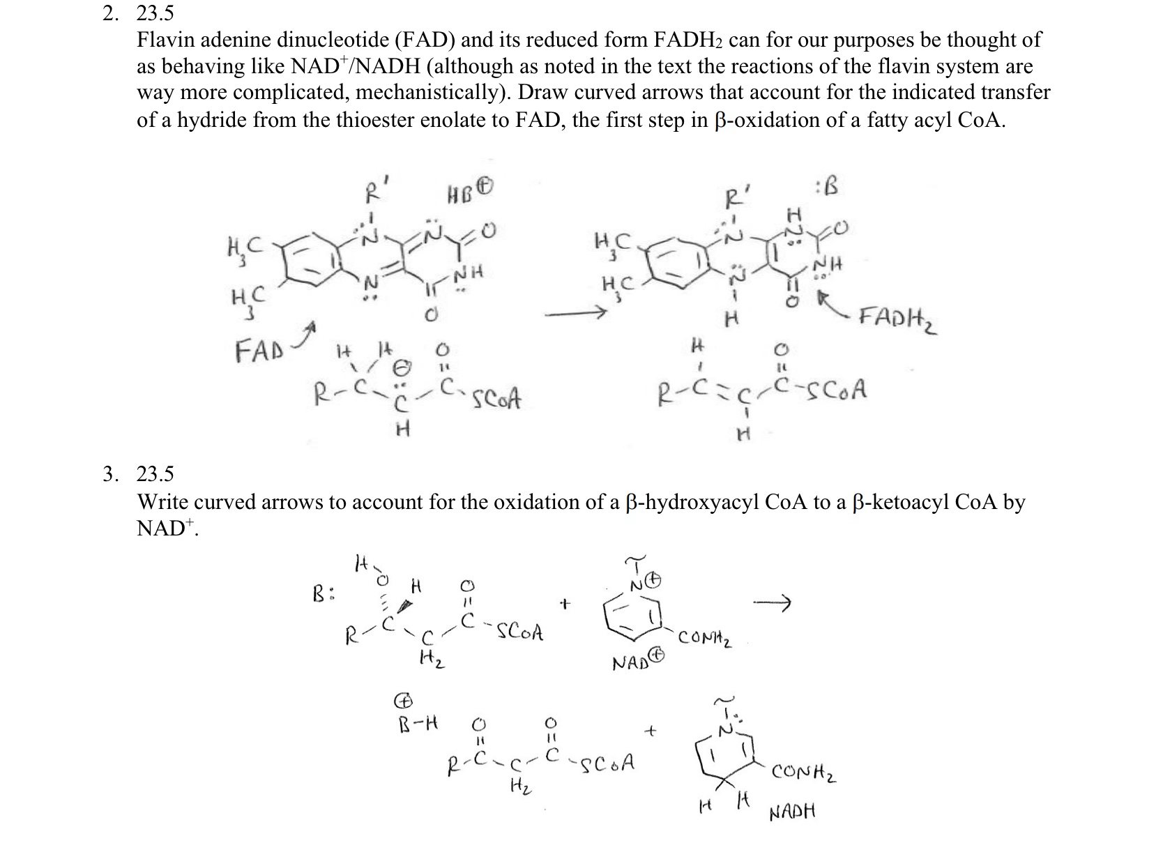 Solved Flavin adenine dinucleotide (FAD) and its reduced | Chegg.com