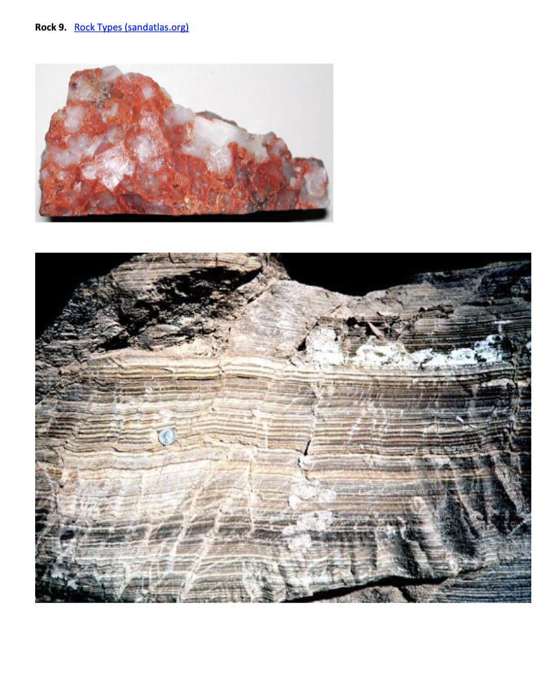 Solved GEOL 2520 Historical Geology, Lab 3 rock samples | Chegg.com