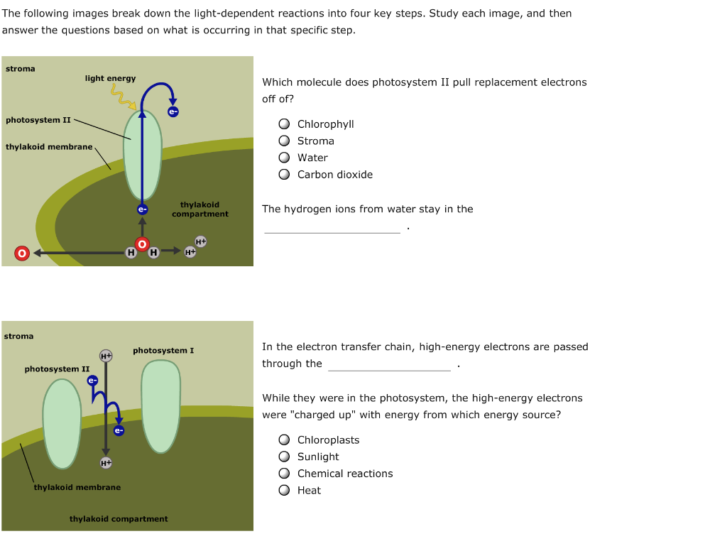 Solved The following graphic illustrates all the steps of | Chegg.com