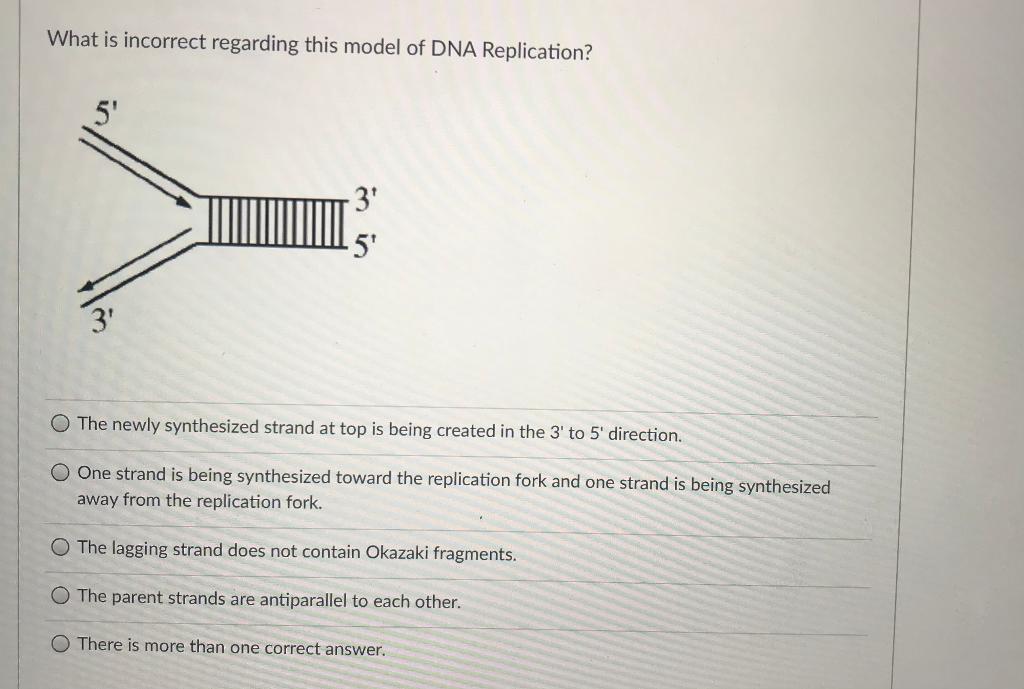Solved What is incorrect regarding this model of DNA | Chegg.com