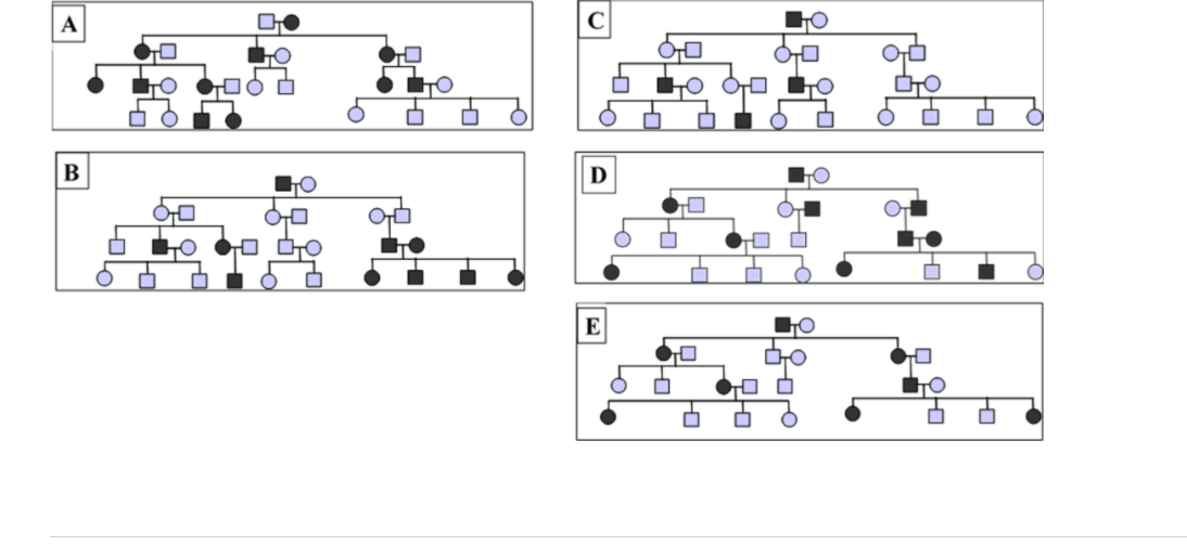 Solved Table below is the list of inheritance patterns. Fill | Chegg.com