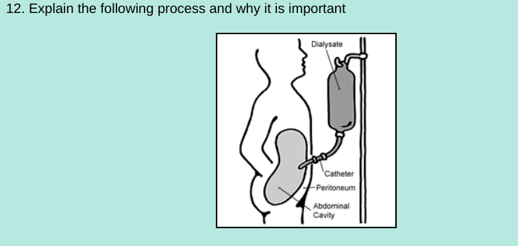 [Solved]: 12. Explain the following process and why it is