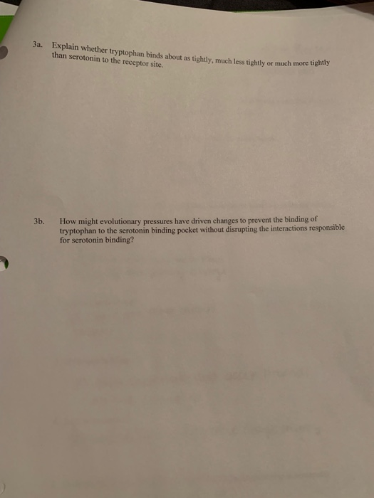 Solved 3a. Explain whether tryptophan binds about as | Chegg.com