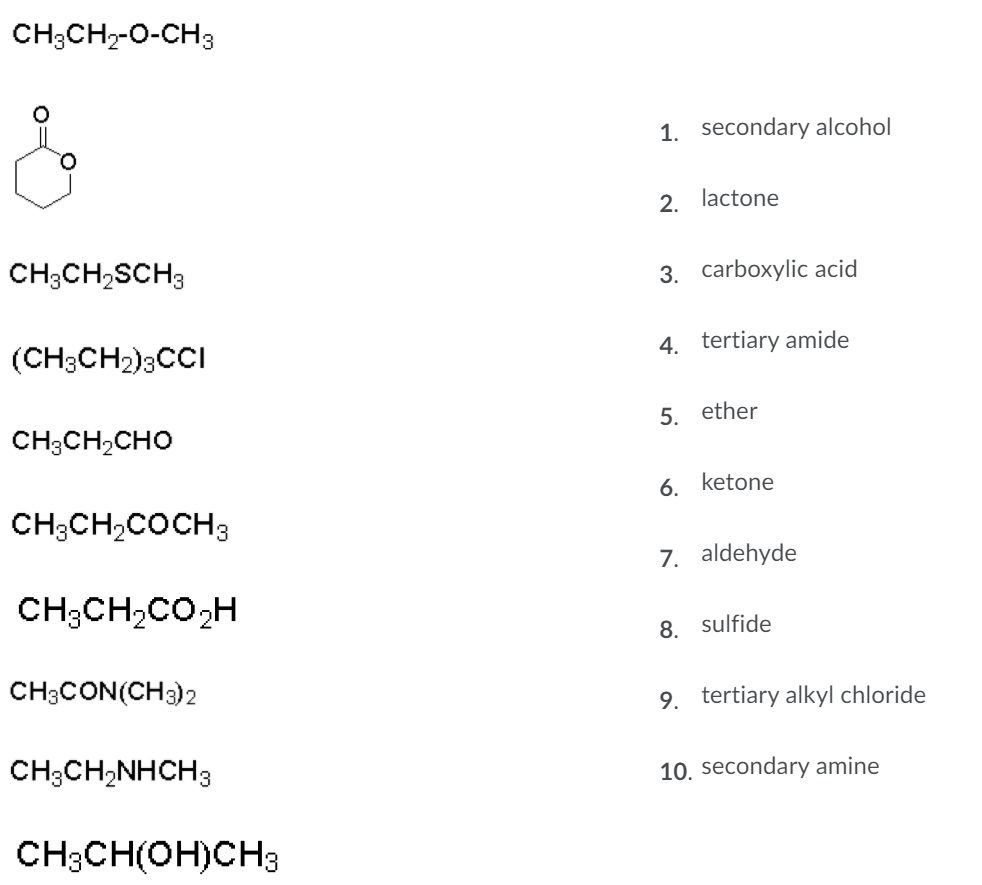 Solved CH3CH2-O-CH3 1. secondary alcohol 2. lactone | Chegg.com