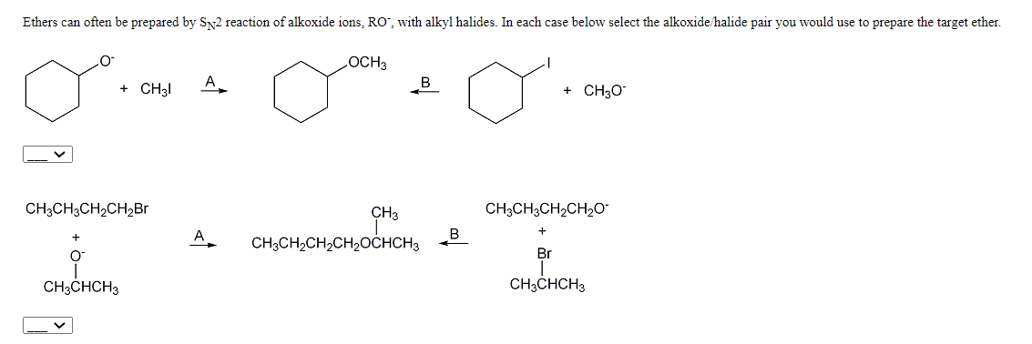 Solved Ethers can often be prepared by SN2 reaction of | Chegg.com