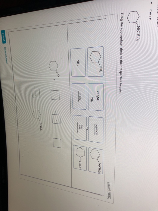 Solved N(CH3 2 Drag the appropriate labels to their | Chegg.com