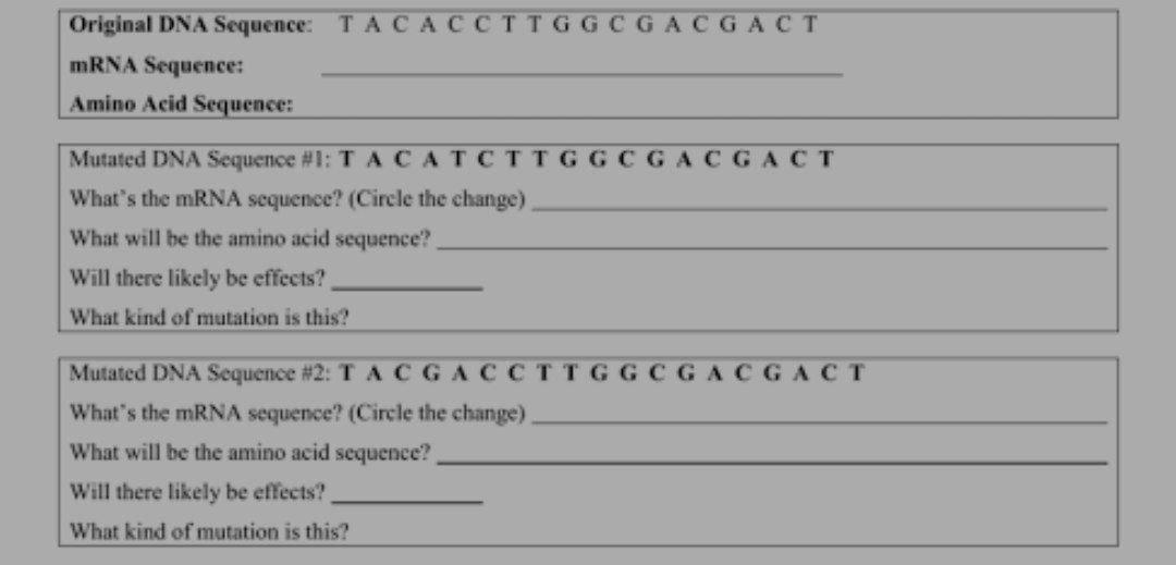 Original DNA Sequence: TACACCTT GGCGAC GACT mRNA | Chegg.com