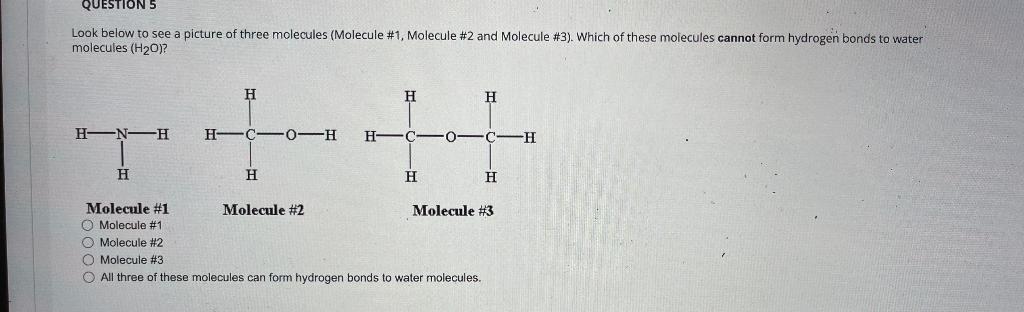 Solved Look below to see a picture of three molecules | Chegg.com