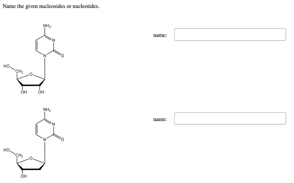 Solved Name the given nucleosides or nucleotides. NH2 : | Chegg.com