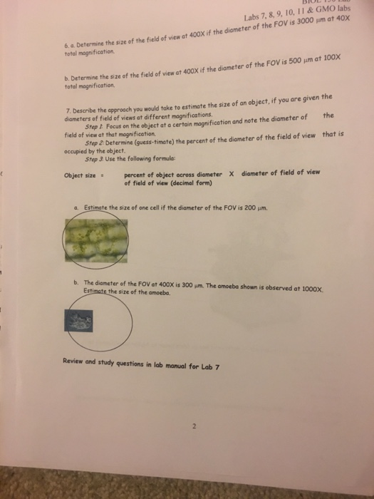 Solved % a betermine the size of the field of view at | Chegg.com