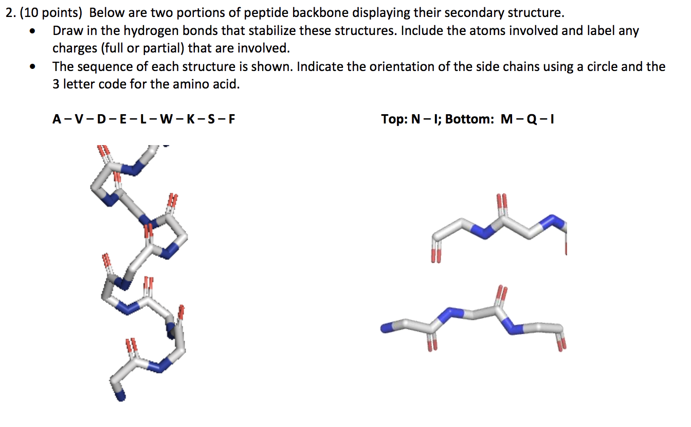 2. (10 points) Below are two portions of peptide | Chegg.com