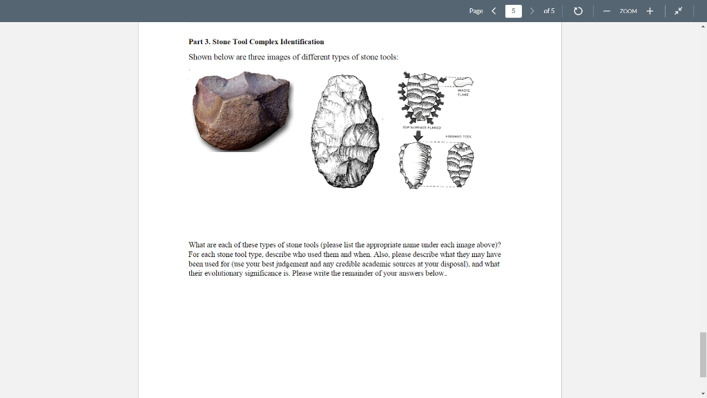 Solved Part 3. Stone Tool Complex Identification Shown below | Chegg.com