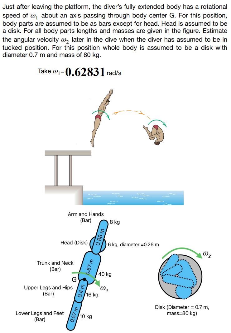 Just after leaving the platform, the diver's fully | Chegg.com