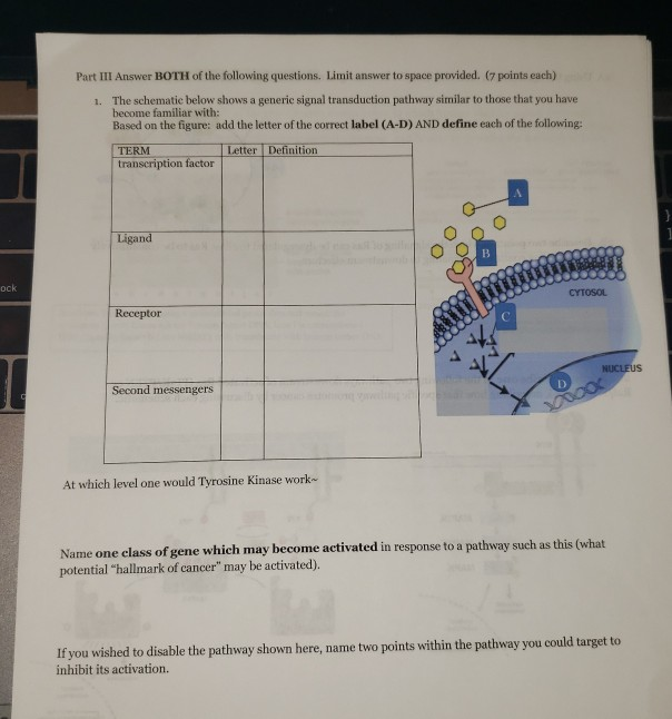 Solved Part III Answer BOTH of the following questions. | Chegg.com