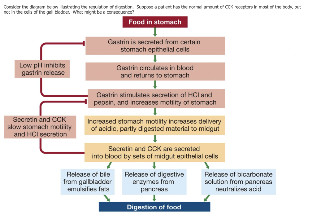 Solved A. The pH of the patient's small intestine would be | Chegg.com