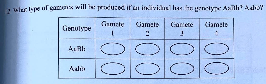 Solved 12. What type of gametes will be produced if an | Chegg.com