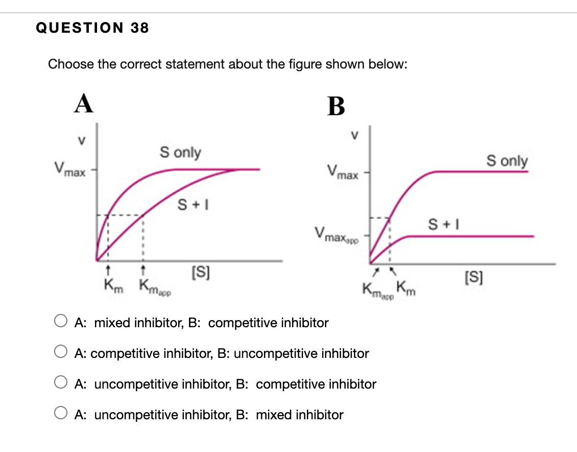 Solved QUESTION 37 Double-reciprocal plots of kinetic | Chegg.com