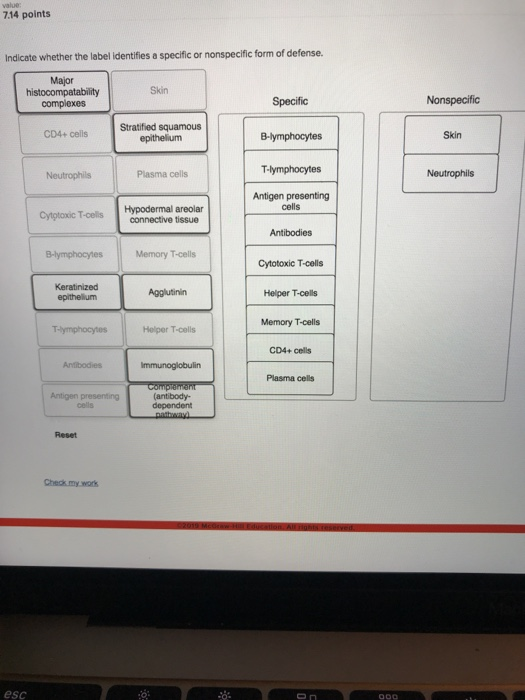 Solved 714 points Indicate whether the label identifies a | Chegg.com