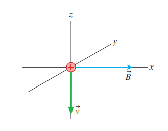 Solved f1 f2 A proton moves in the magnetic field; B = .22 | Chegg.com