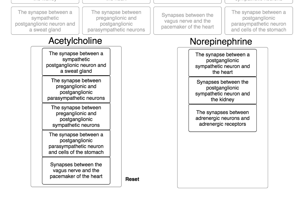 Solved Any help with this question would be really helpful, | Chegg.com