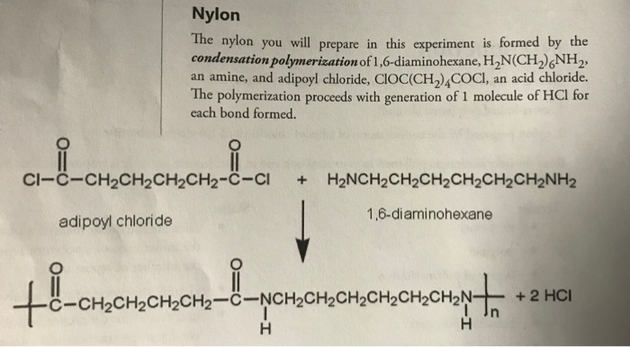 Solved What organic functional group links the repeating | Chegg.com
