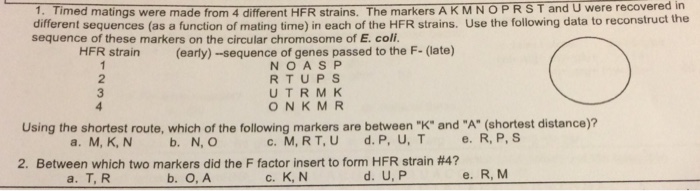 Solved 1. Timed matings were made from 4 different HFR | Chegg.com