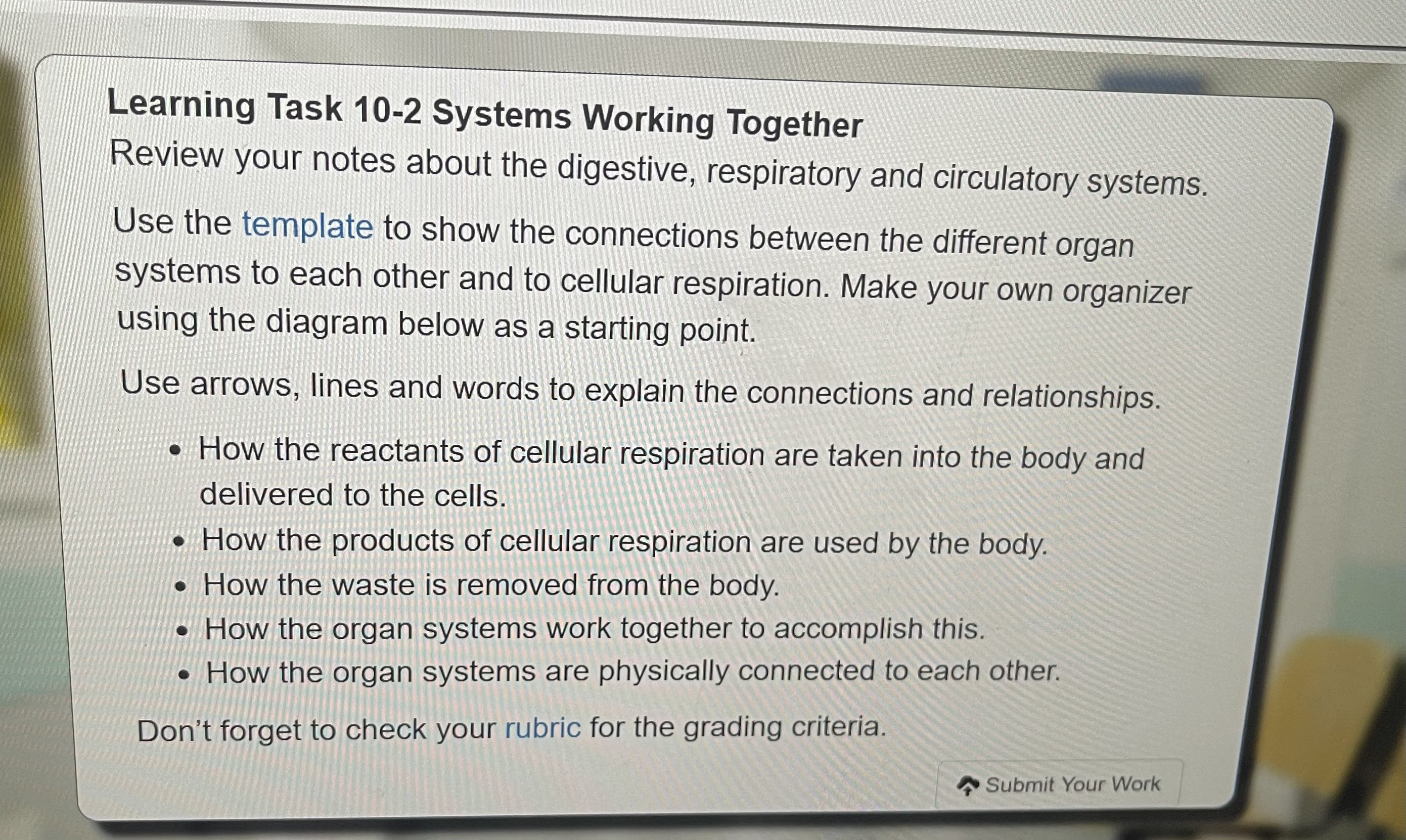 Solved Learning Task 10-2 Systems Working Together Review | Chegg.com