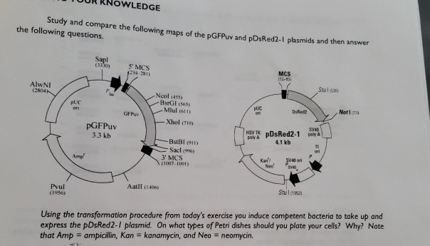 Solved OUR RNOWLEDGE Study and compare the following maps of | Chegg.com