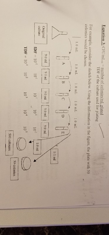 Solved Equation 3: CFU/mLos number of colonies'ml plated TDF | Chegg.com