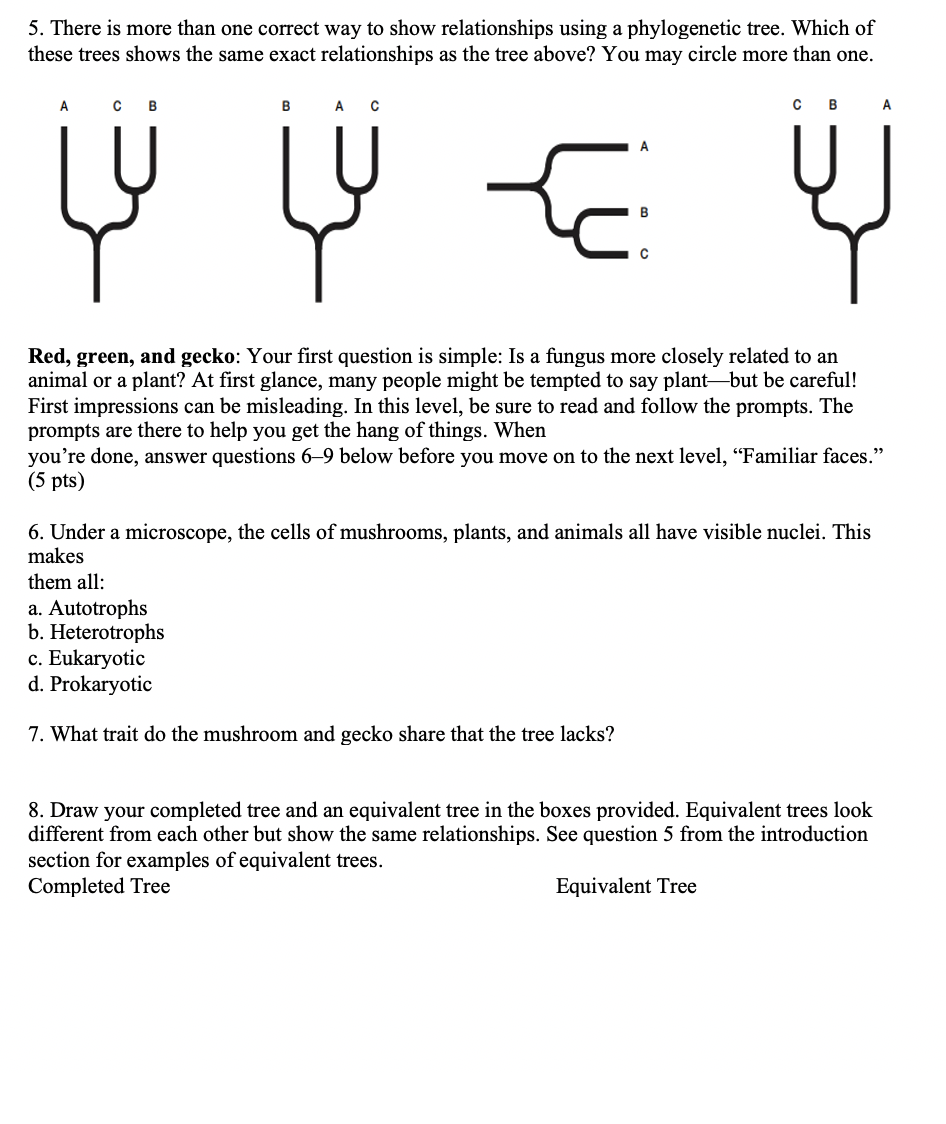 Solved A B с branch tips trait 41 trait 5 trait 21 trait 3 | Chegg.com