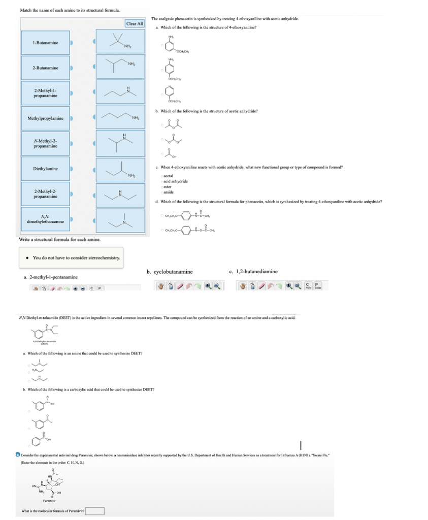 Solved Match the name of each amine to its structural | Chegg.com