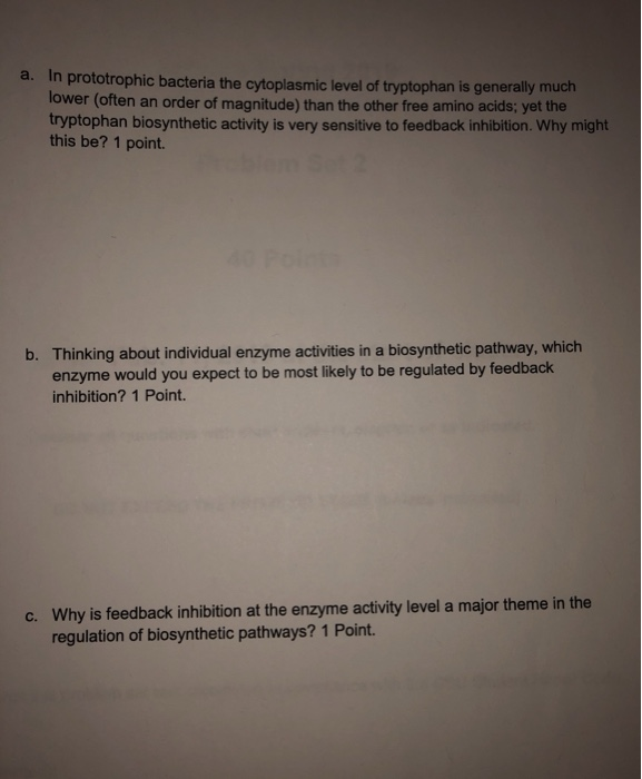 Solved In prototrophic bacteria the cytoplasmic level of | Chegg.com